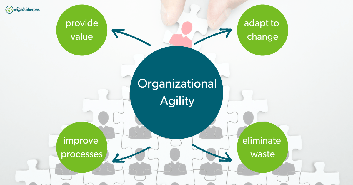 5 Signs Your Business Needs Full-Fledged Organizational Agility